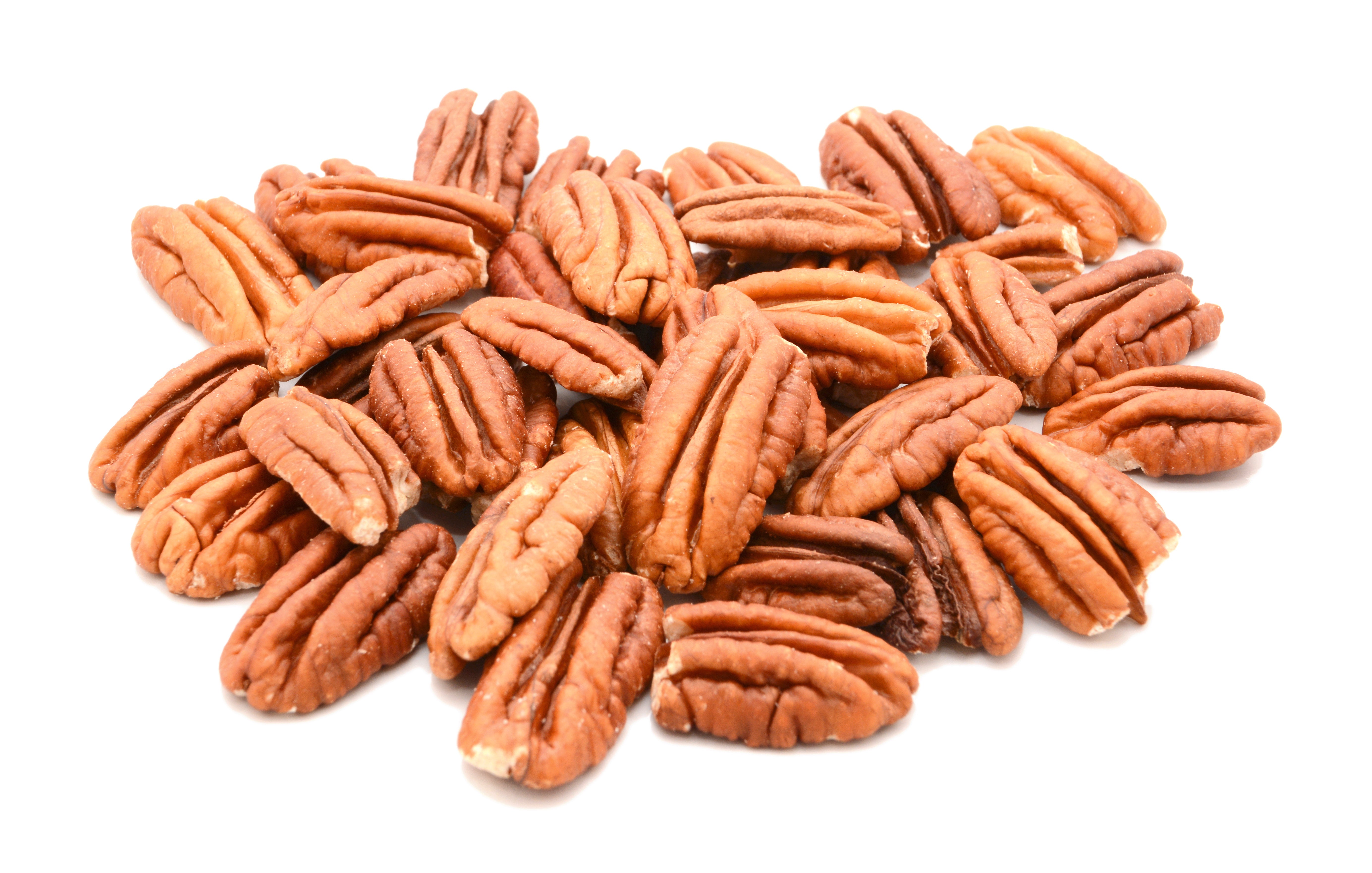 Fresh Georgia Pecans | Red River Youth for Christ